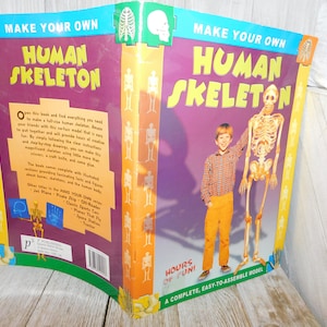 Make Your Own Human Skeleton Skeletons Easy to Assemble Model - Etsy