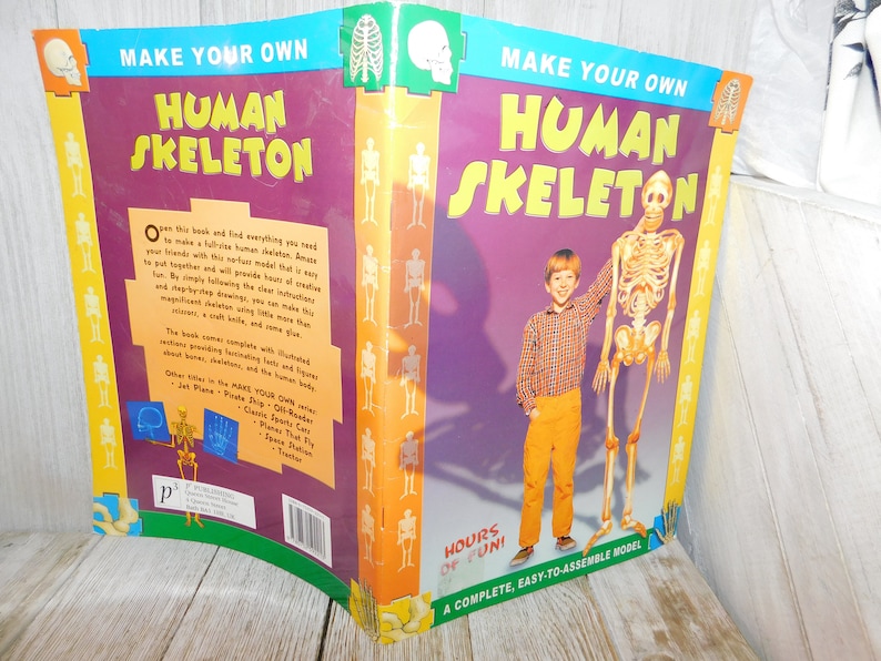 Make Your Own Human Skeleton Skeletons Easy to Assemble Model - Etsy
