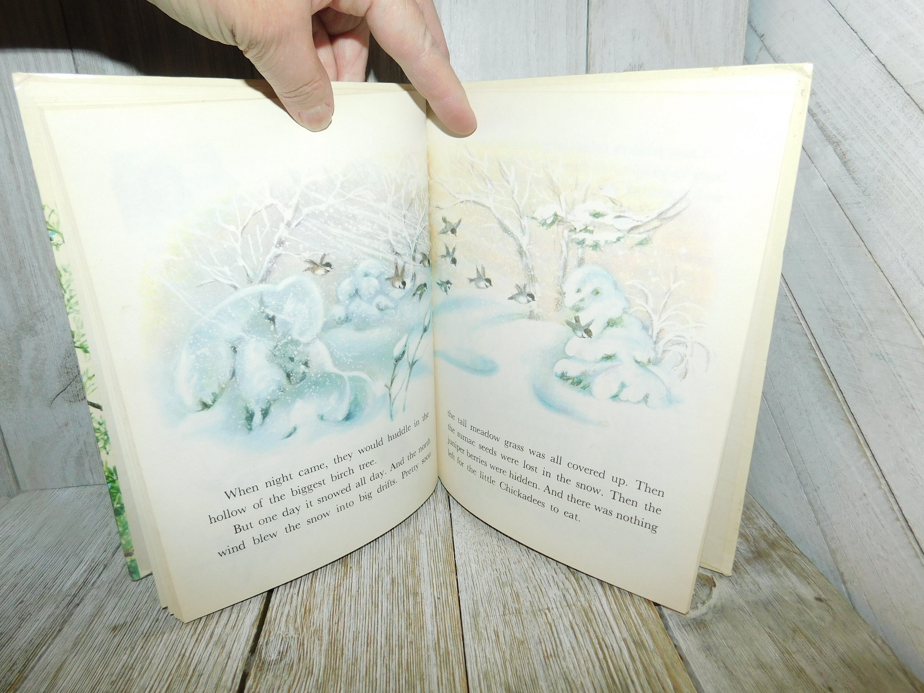 Johnny and the Birds Book, A Rand Mcnally Book Tip Top Elf Book ...