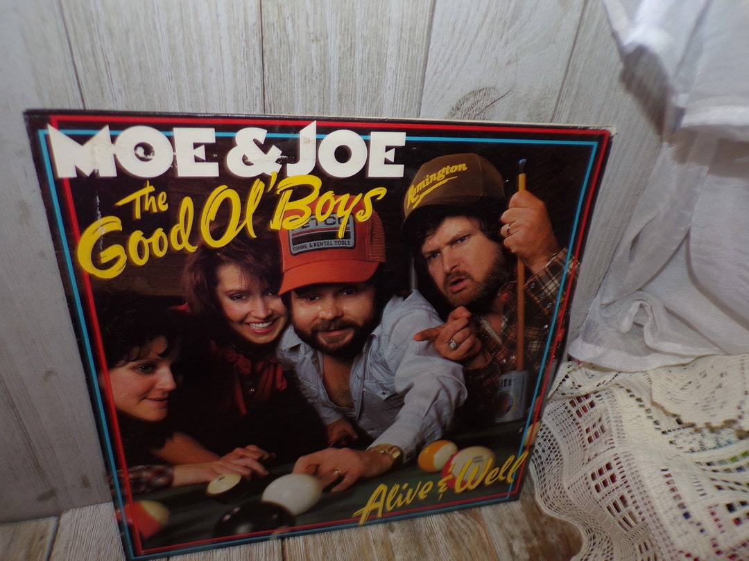 Moe & Joe, Vinyl LP Record, NO Dust Jacket, Pop Rock, Memories, Gift ...