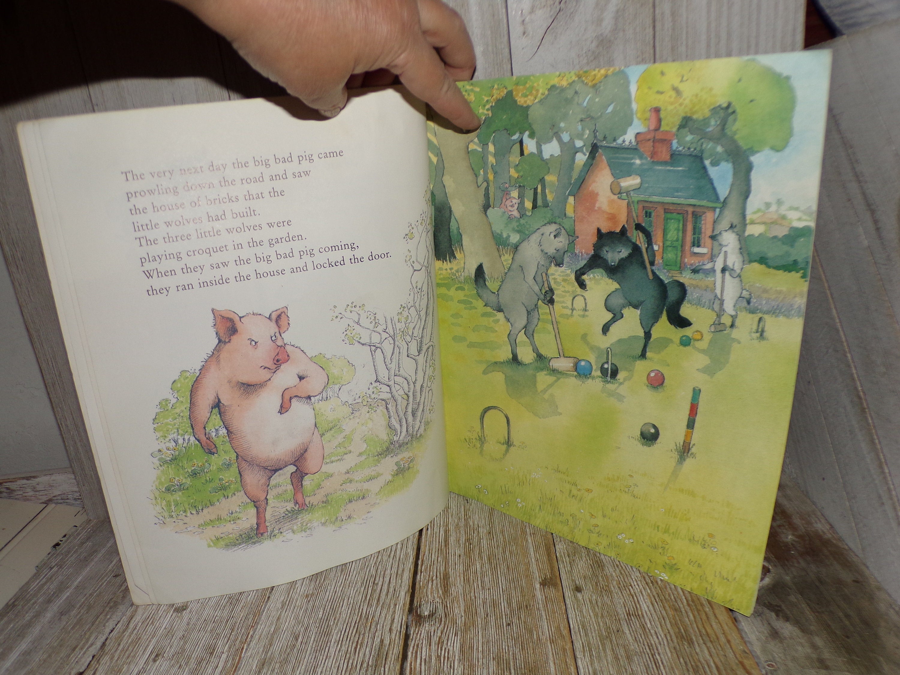 The Little Wolves and the Big Bad Pig by Eugene Trivizas and Helen ...