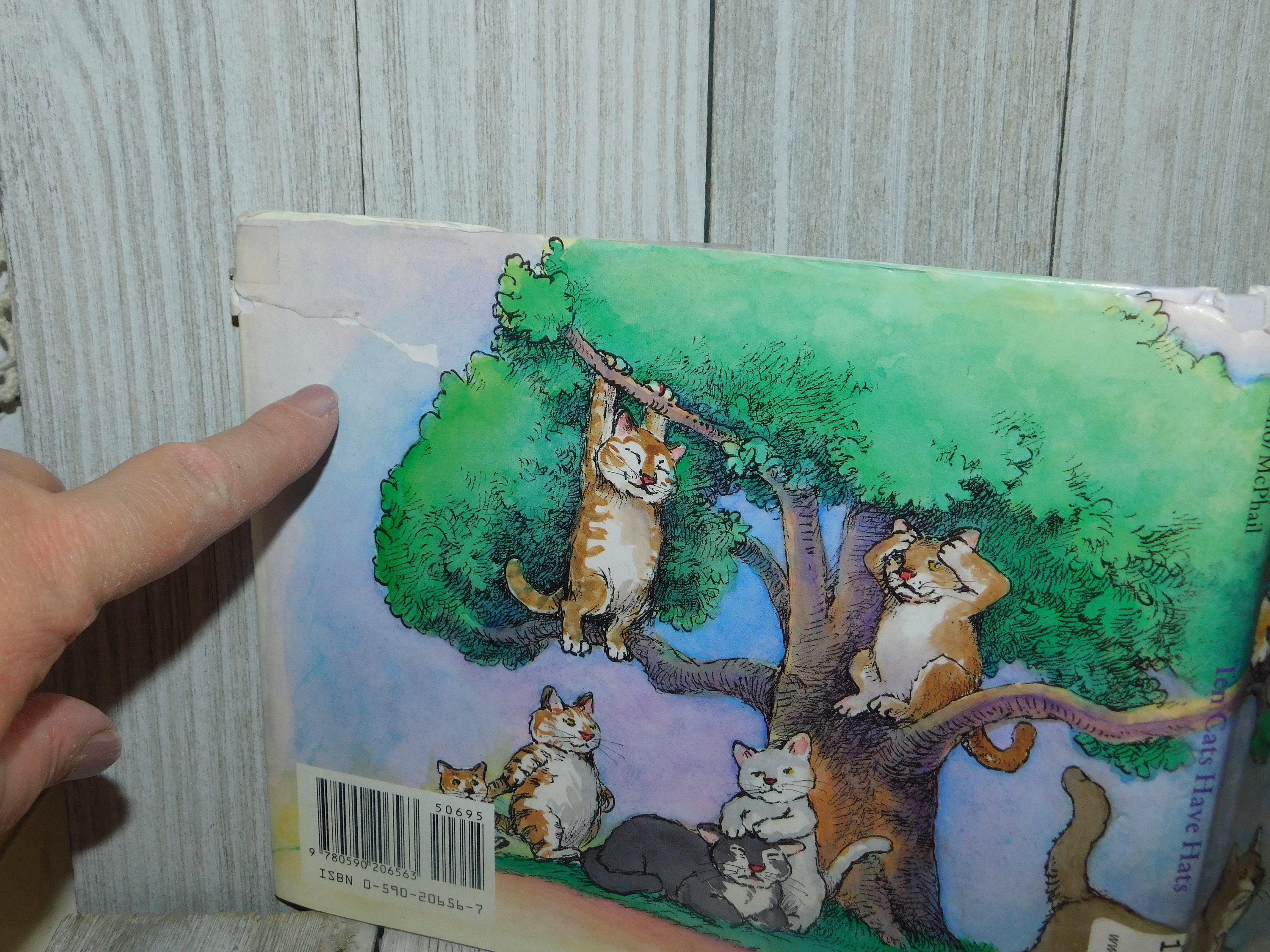 Ten Cats Have Hats A Counting Book 94, Preschooler Book, Vintage ...