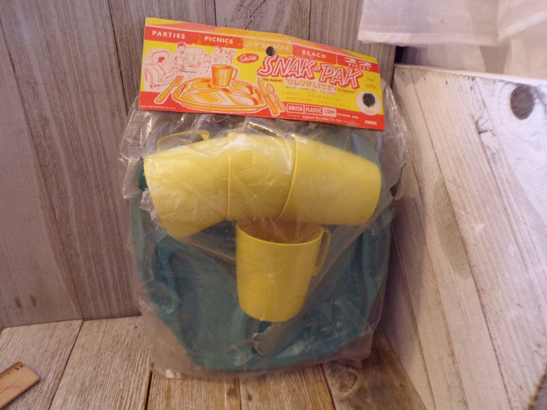 Snack Pak Plates Cups, Plastic Dishes, Plastic Plates, Camping, Picnics ...