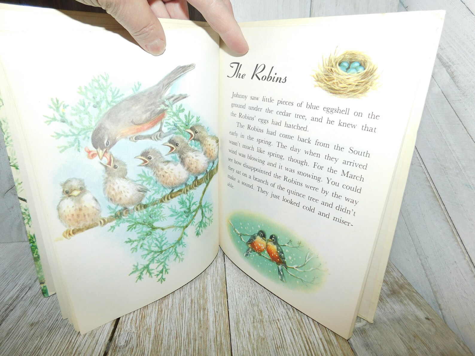 Johnny and the Birds Book, A Rand Mcnally Book Tip Top Elf Book ...