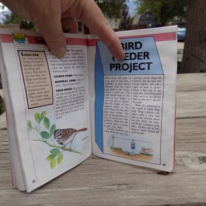 The Little Bird Book, Neil an Karen Dawe 1988, Paperback Book, Memories ...