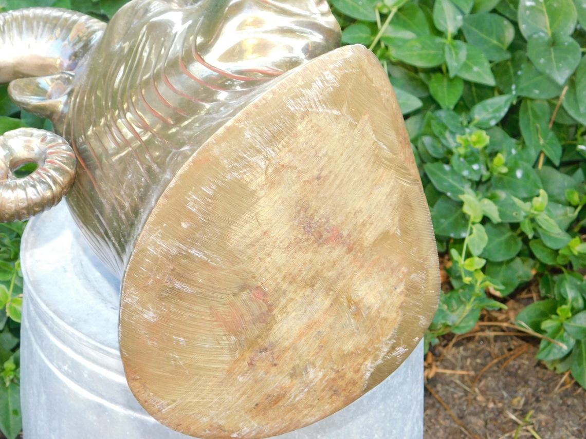 Vintage Brass Ram Head Mid Century Brass Unique Vintage | Etsy