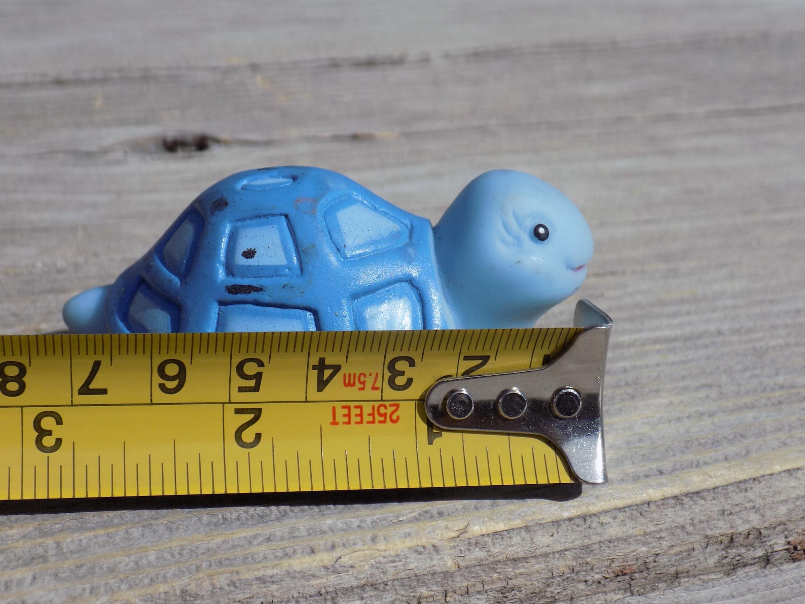 Turtle Blue Toy Turtle, Rubber Toys, Rubber Toys, Memories, Gift, Prop ...