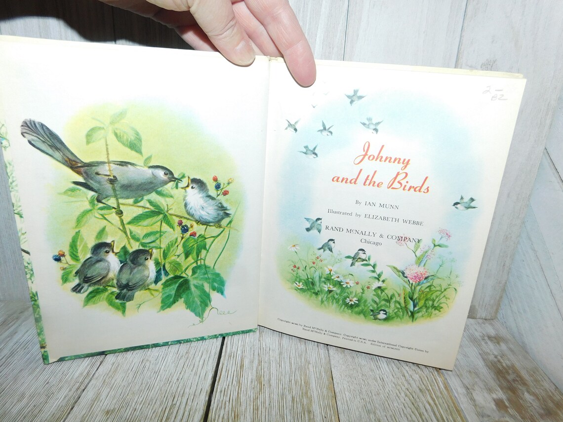 Johnny and the Birds Book, A Rand Mcnally Book Tip Top Elf Book ...