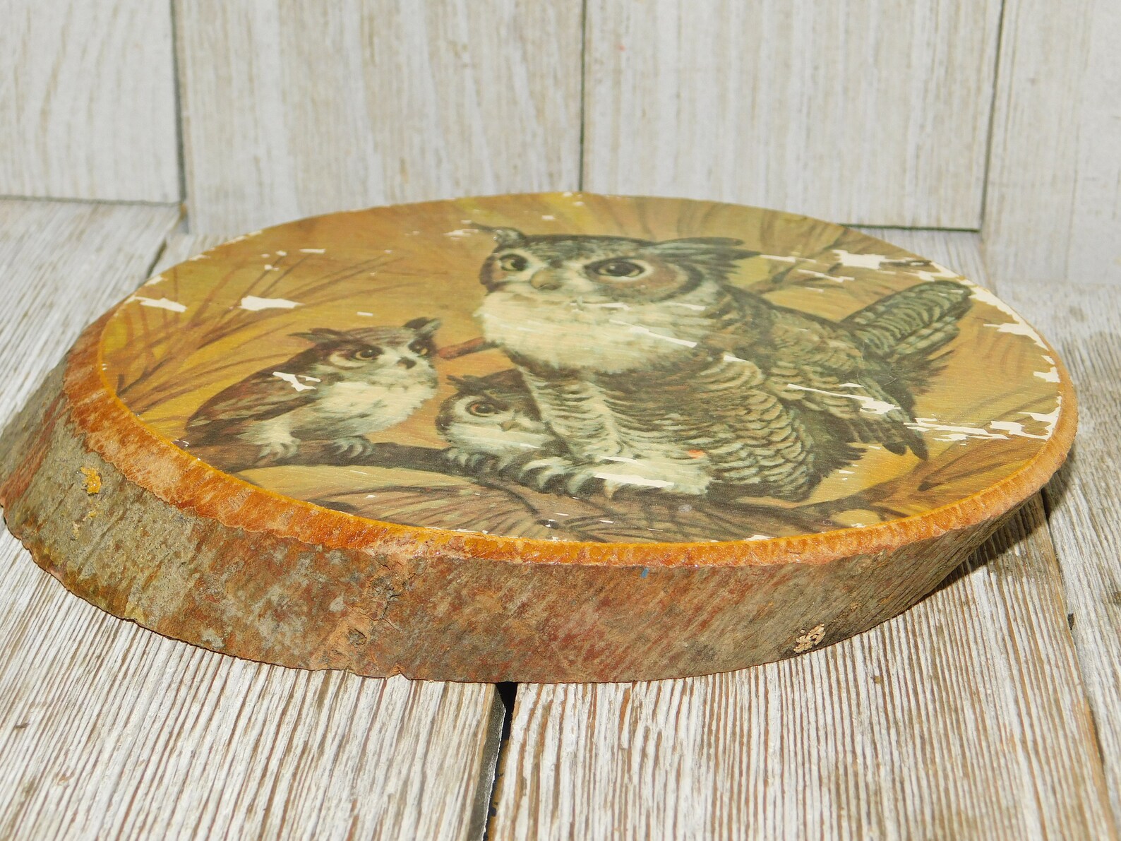 Log Owl Bird, Oval Log Owl Picture, Vintage Home Decor, Country Home ...
