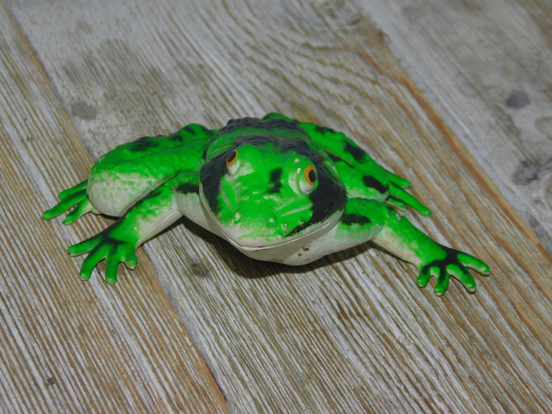 Vtg Rubber Toy Frog, Nice Size Frog, Spotted Frog, Vint Toys, Toys ...