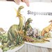 Stegosaurus by Angela Sheehan Ill by John Francis, Hardcover Book ...