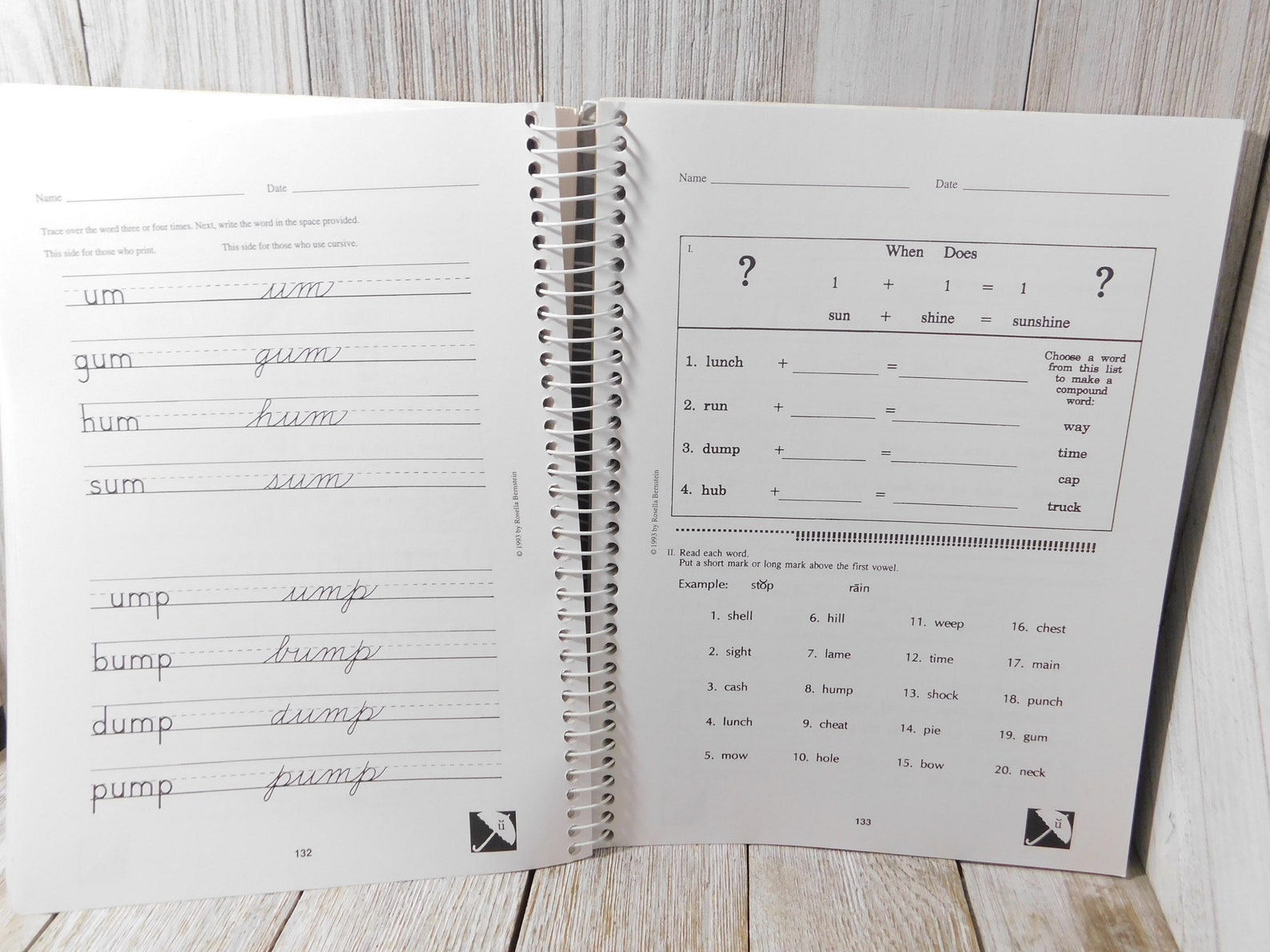 Sound Out Book Ready to Use Phonics Activitys for Special - Etsy