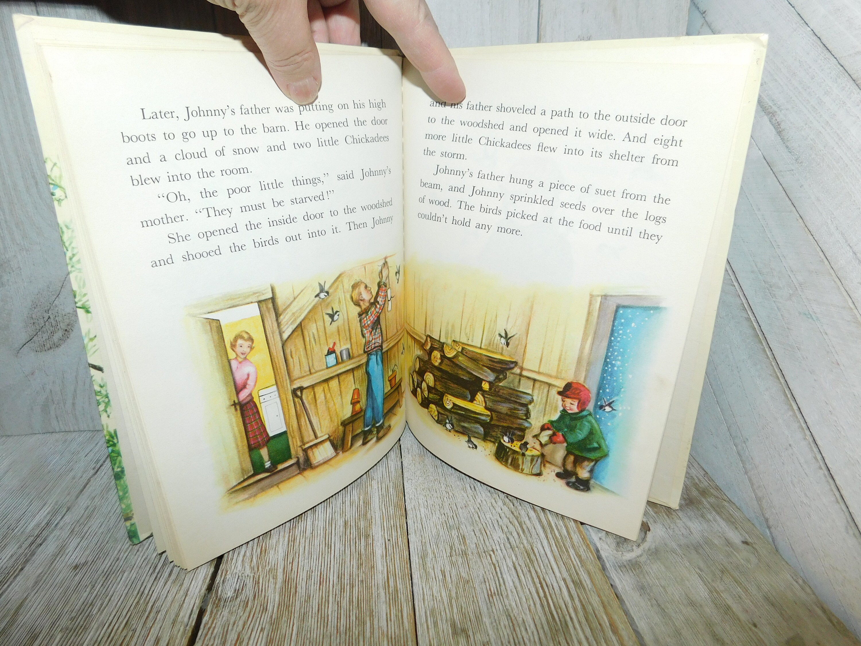 Johnny and the Birds Book, A Rand Mcnally Book Tip Top Elf Book ...