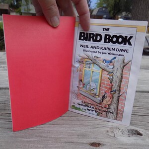 The Little Bird Book, Neil an Karen Dawe 1988, Paperback Book, Memories ...
