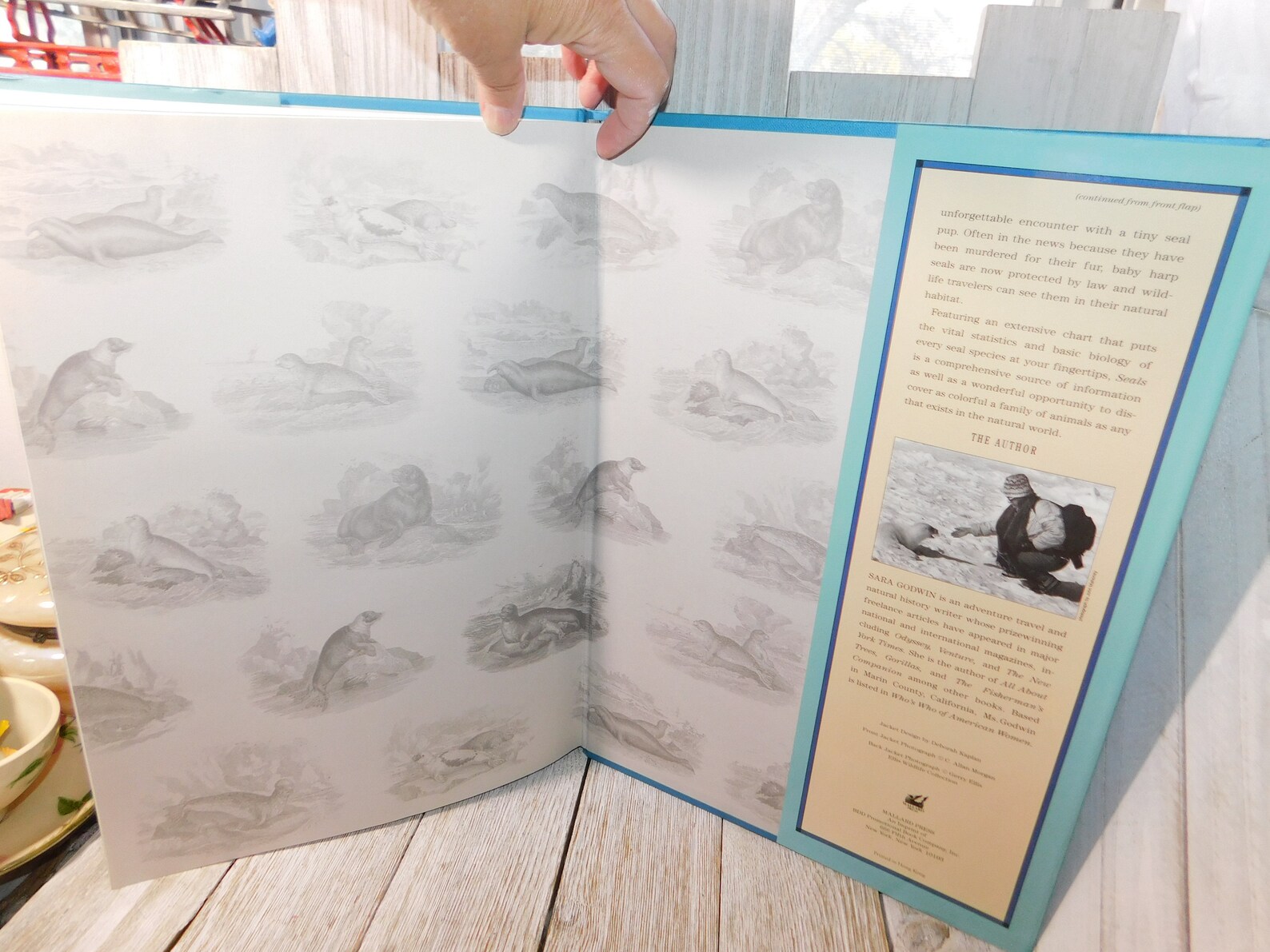 Vintage Seals Book by Sara Godwin 1990 Hard Cover Book - Etsy