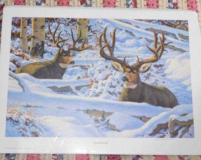 Brent R Todd Poster, Snow Bound Signed , Deer, Winter Deer Poster, Wild ...