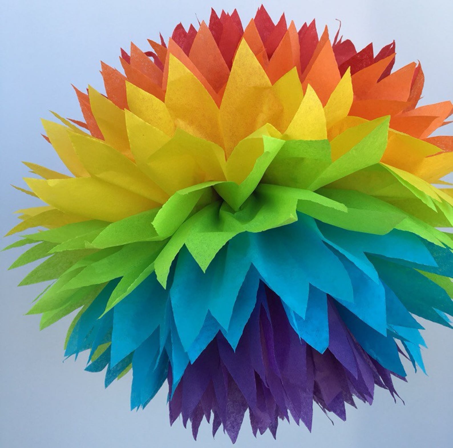 Rainbow Tissue Paper Pom Poms party or Home Decorations - Etsy