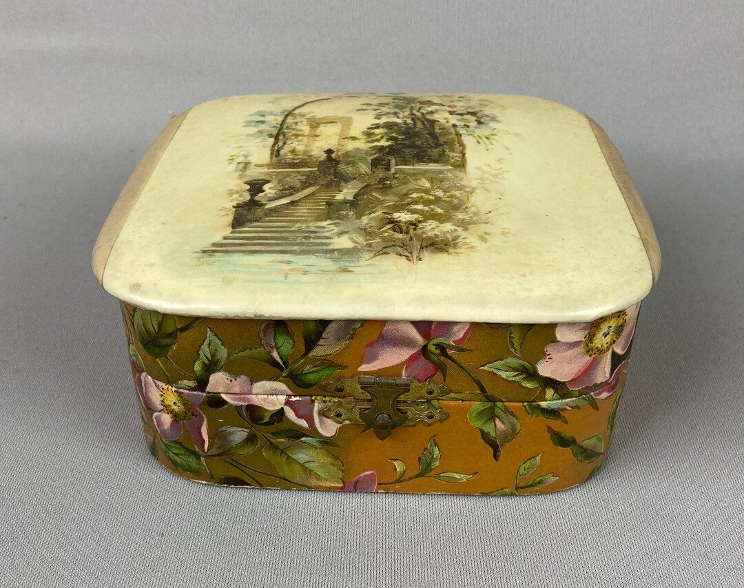 Antique Celluloid Box, Jewelry Box, Vanity Box, Trinket Box, Garden and ...