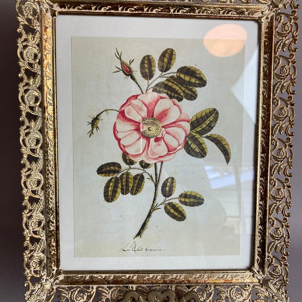 Filigree Frame - Etsy