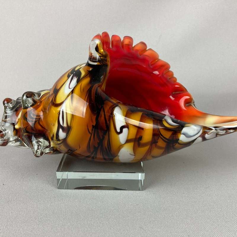 Conch Shell Art - Etsy