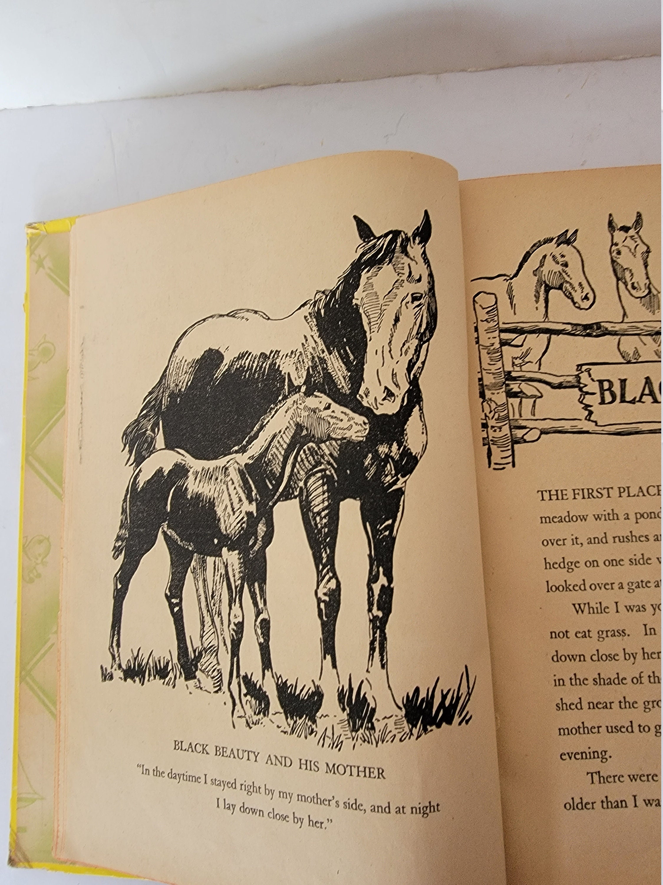 Big Big Story Book 1938, 1941 Whitman Publishing Vintage Children's ...