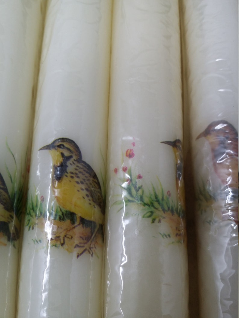 Set of Six Rare Vintage Bird Candles Meadowlark Candles, Song Bird ...