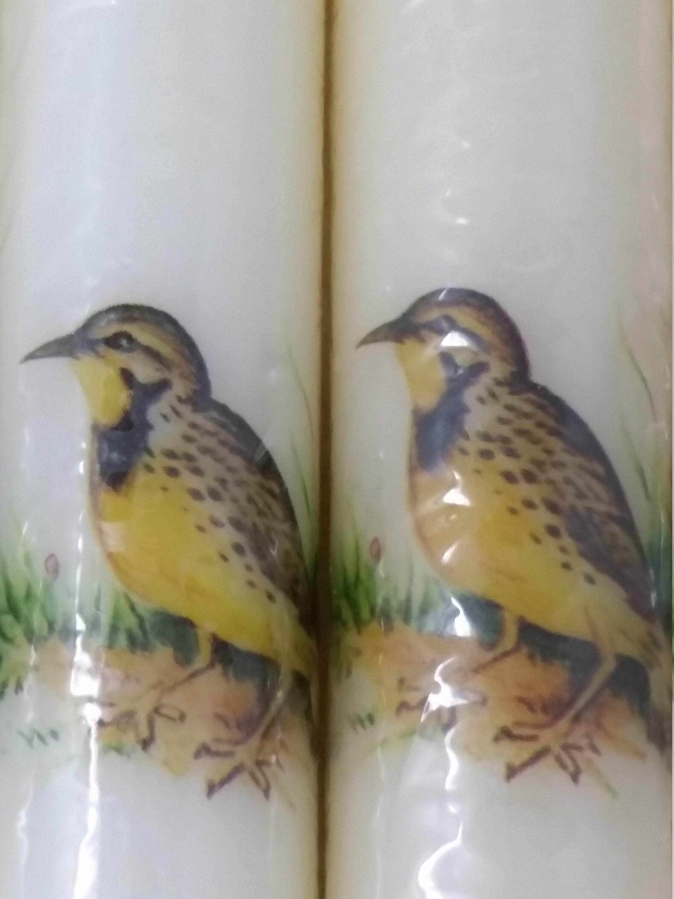 Set of Six Rare Vintage Bird Candles Meadowlark Candles, Song Bird ...