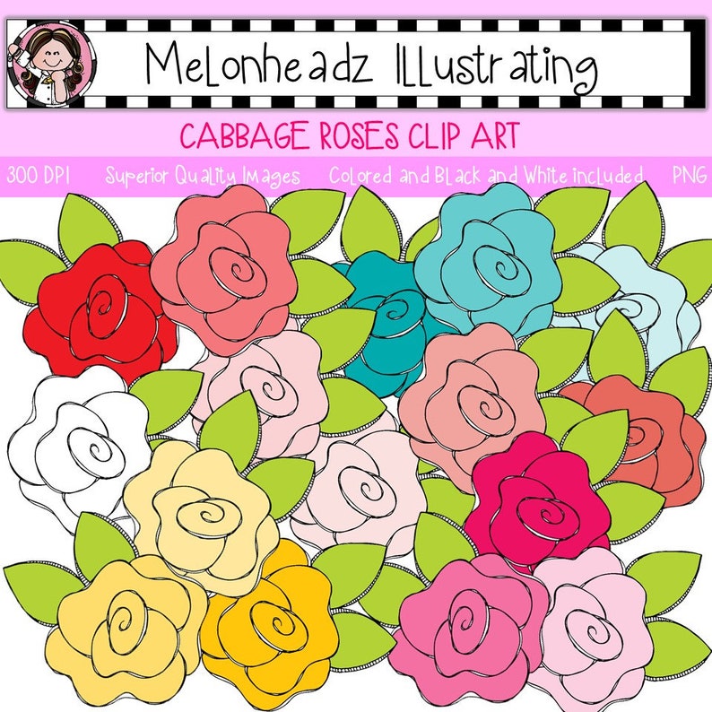 Cabbage Roses Clip Art Single Image - Etsy