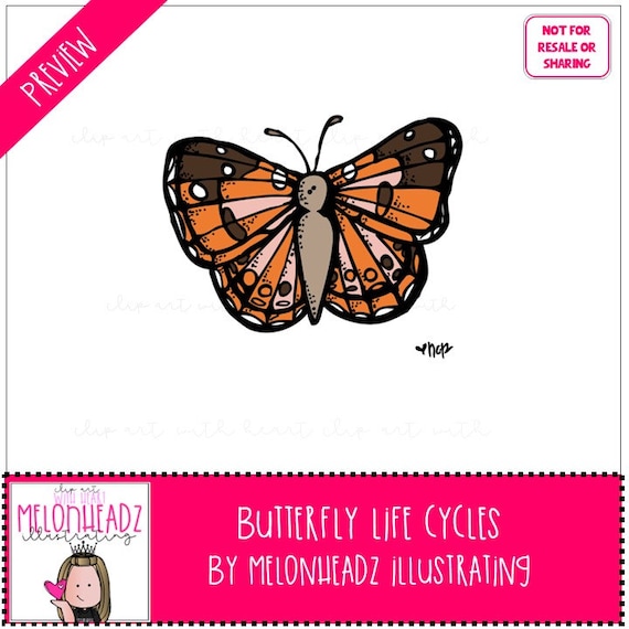 Butterfly Lifecycle Clipart