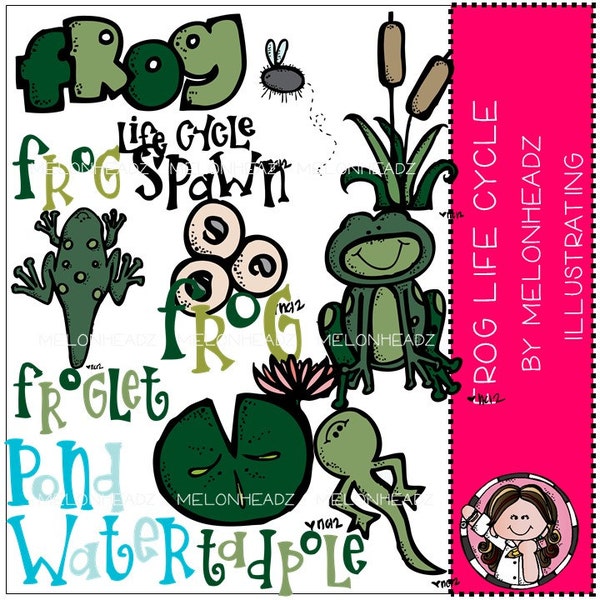 Frog Life Cycle - Etsy