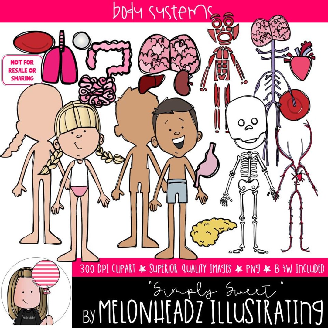 Body Systems Clip Art Digi Stamps "simply Sweet" COMBO PACK - Etsy