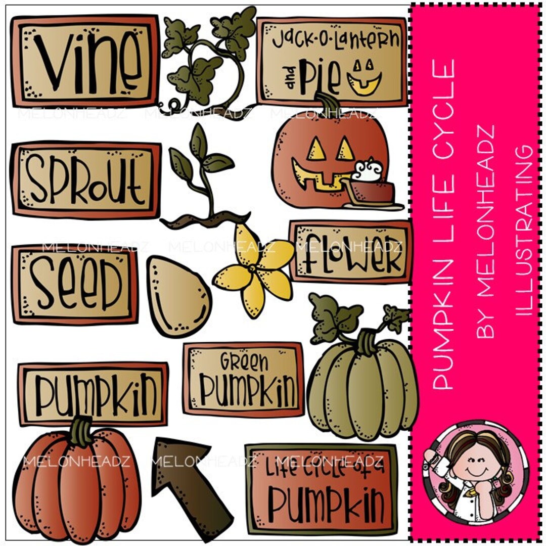 Pumpkin Life Cycle Clip Art - Etsy