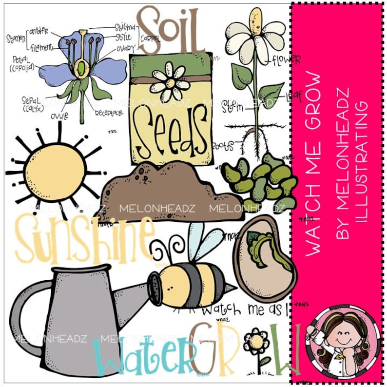 Plant Life Cycle Clip Art Watch Me Grow - Etsy