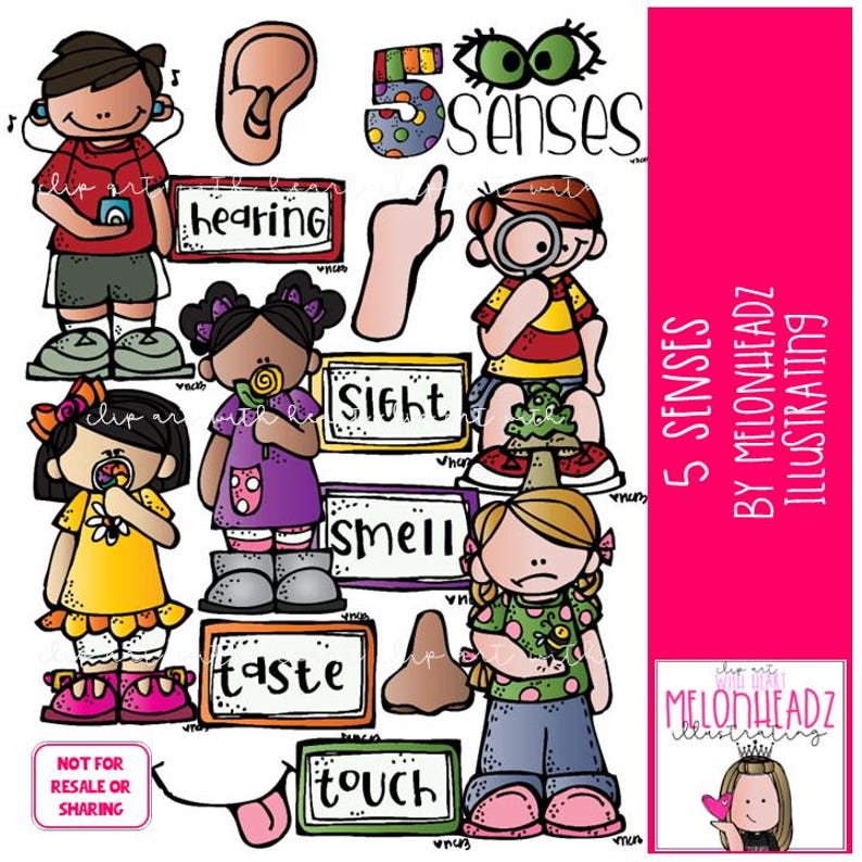 5 {five} Senses Clip Art, Smell, Sight, Hearing COLORED VERSION - Etsy