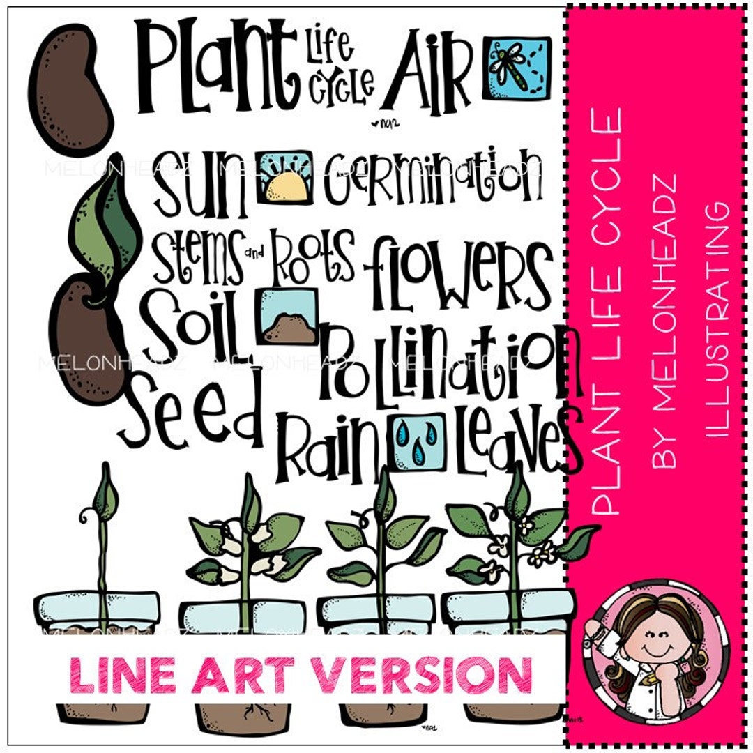 Plant Life Cycle Clip Art - LINE ART - Etsy