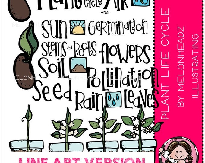 Life Cycle Clip Art - Plant Life Cycle Clip Art - Flower Life Cycle ...