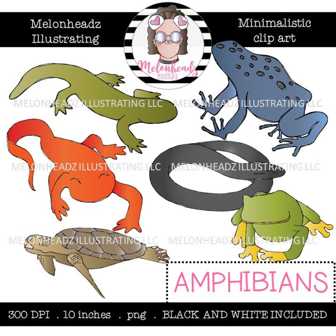 Amphibians Clip Art - Minimal Style - Mini - Etsy