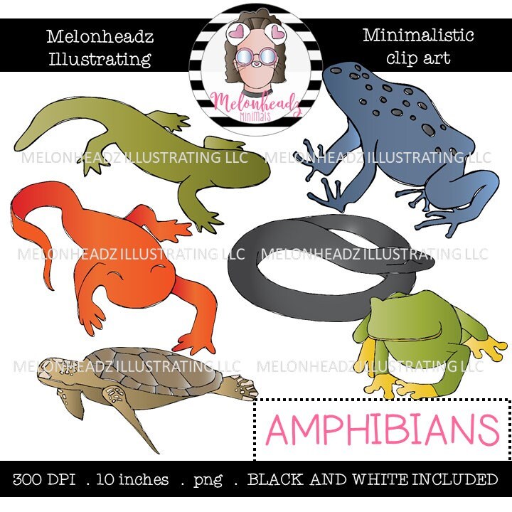 Amphibians clip art Minimal Style Mini | Etsy
