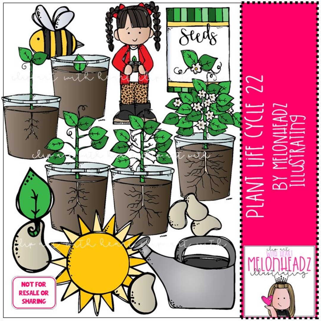 Plant Life Cycle Clip Art - 2022 - COMBO PACK - Etsy