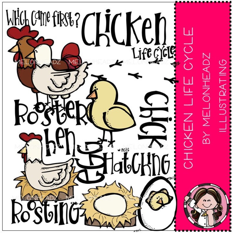 Chicken Life Cycle Clip Art - Etsy