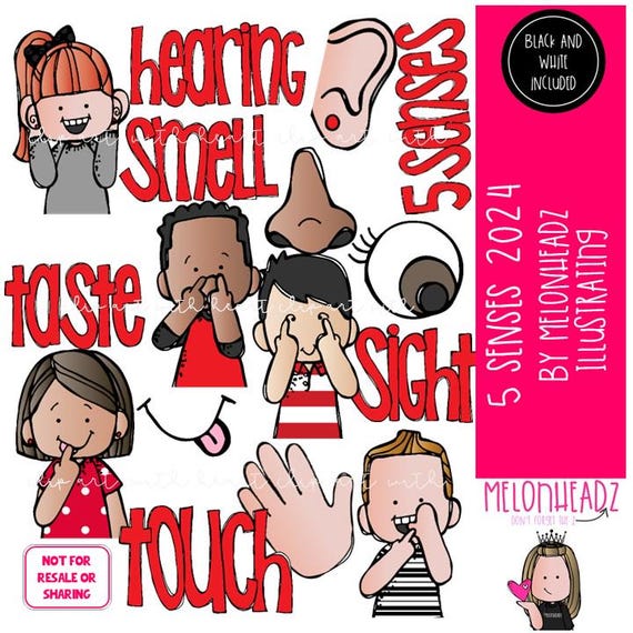 Sight Sense Clipart