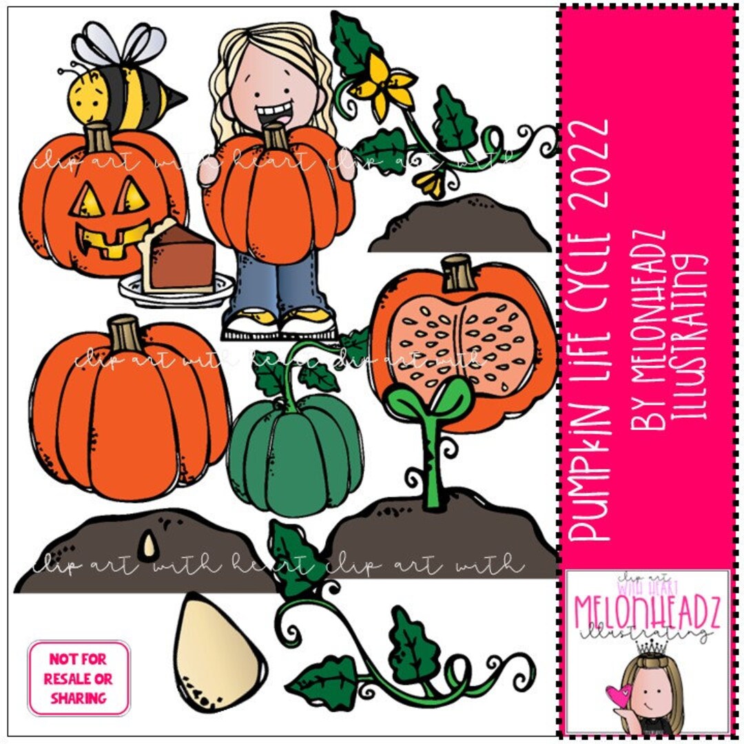 Pumpkin Life Cycle Clip Art - 2022 - Etsy