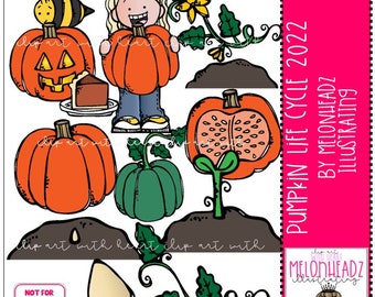 Pumpkin Life Cycle Clip Art - Instant Download - Educational Clipart ...