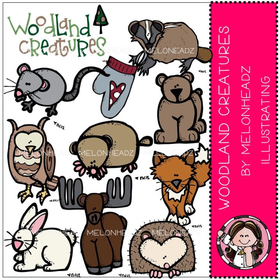 Woodland Creatures Clip Art - Combo Pack - Etsy