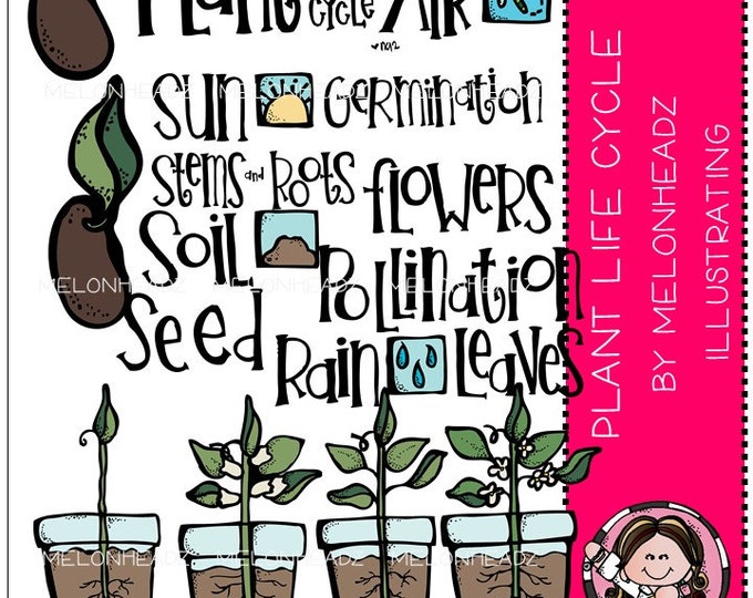 Life Cycle Clip Art - Plant Life Cycle Clip Art - Flower Life Cycle ...