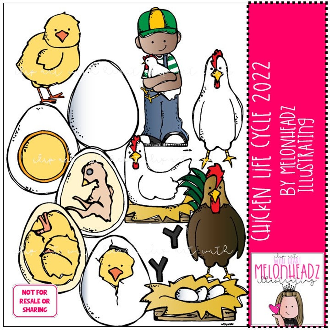 Chicken Life Cycle Clip Art - 2022 - COMBO PACK - Etsy
