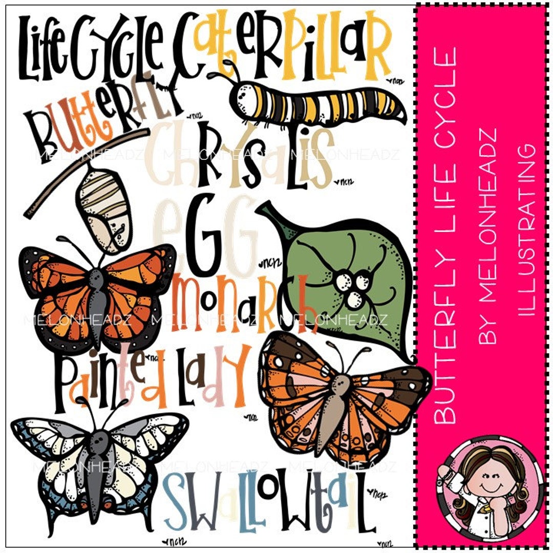 Butterfly Lifecycle Clipart