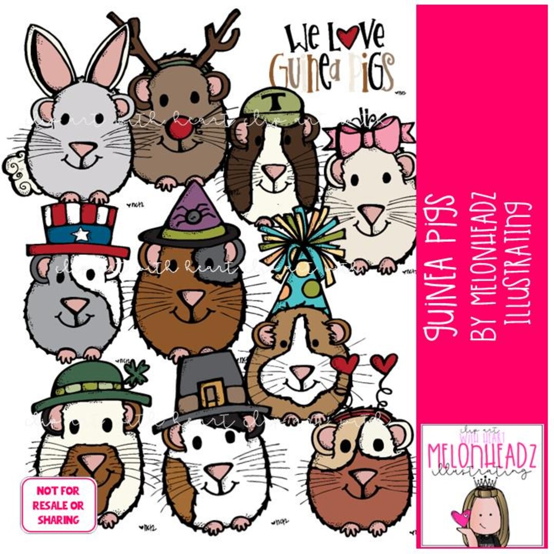 Guinea Pigs Clip Art Pet Clip Art COLORED Version - Etsy Australia