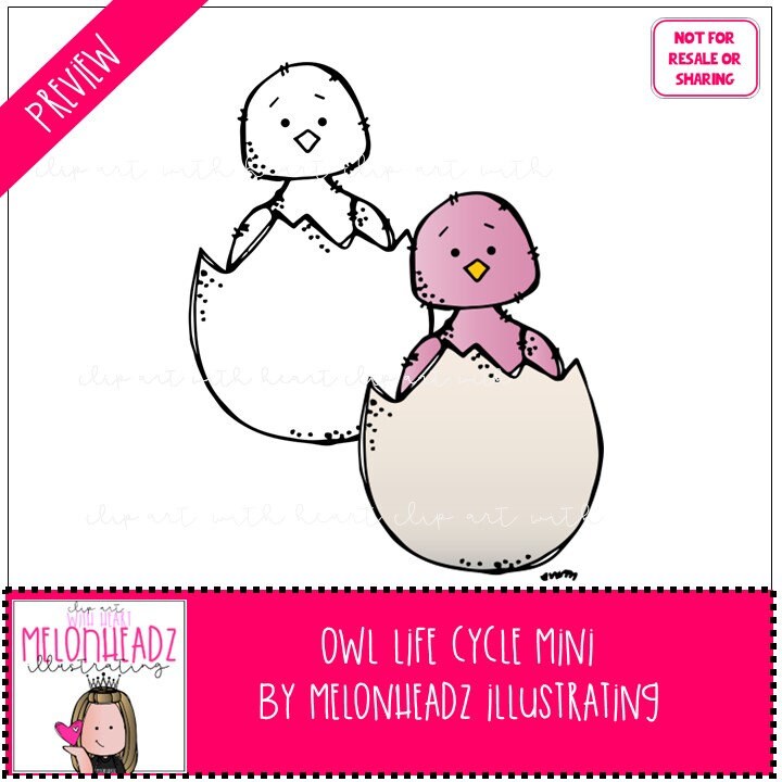 Imágenes prediseñadas del ciclo de vida del búho - Mini - Etsy México