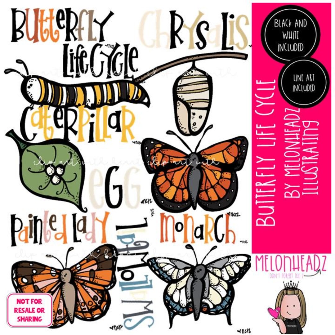 Butterfly Life Cycle Clip Art Butterfly Clip Art COMBO PACK - Etsy